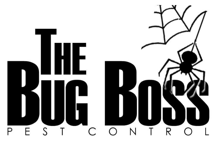 The Bug Boss – Pest Control Company in Fort Worth Texas